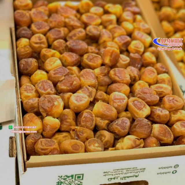 Sukkari Dates Rutab - Dates Sukari Rutab | Tjaraa